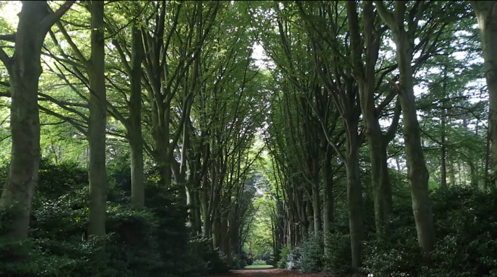 rainforest poem - antoniasway